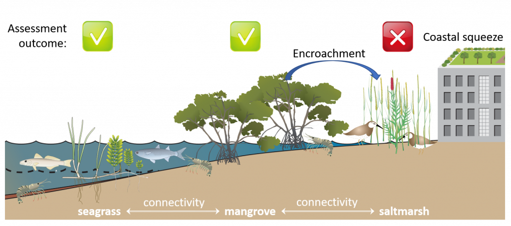 How can we best assess the threats and status of connected coastal ...
