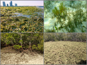 How can we best assess the threats and status of connected coastal ...