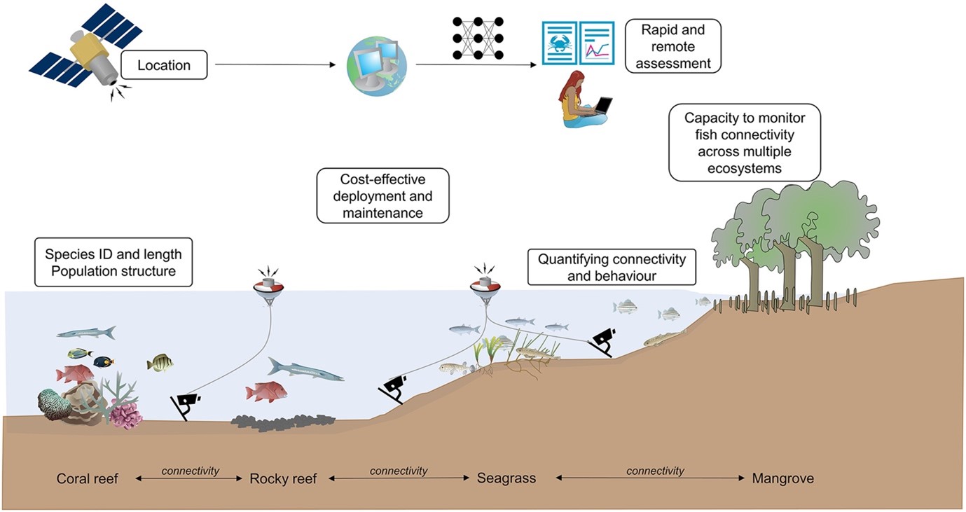 How can computer vision supercharge fish connectivity research? - GLOW ...