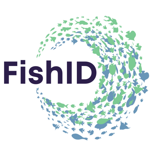Smarter monitoring for healthier oceans: How the GLOW team uses FishID ...